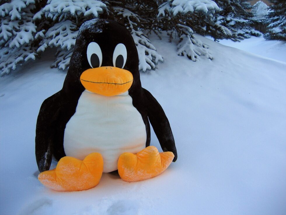 Historia de Tux: mascota de Linux - Mantenimiento Informático Madrid